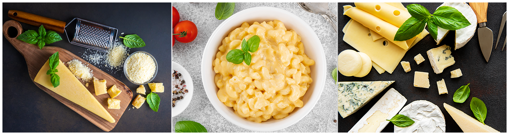 Enzyme Modified Cheese & Butter - EMC & EMB (Enzyme Modified Cheese ...